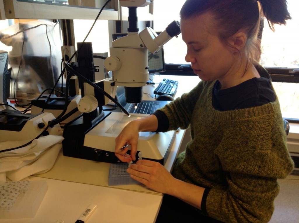 New workshop on DNA barcoding | Norwegian Barcode of Life (NorBOL)